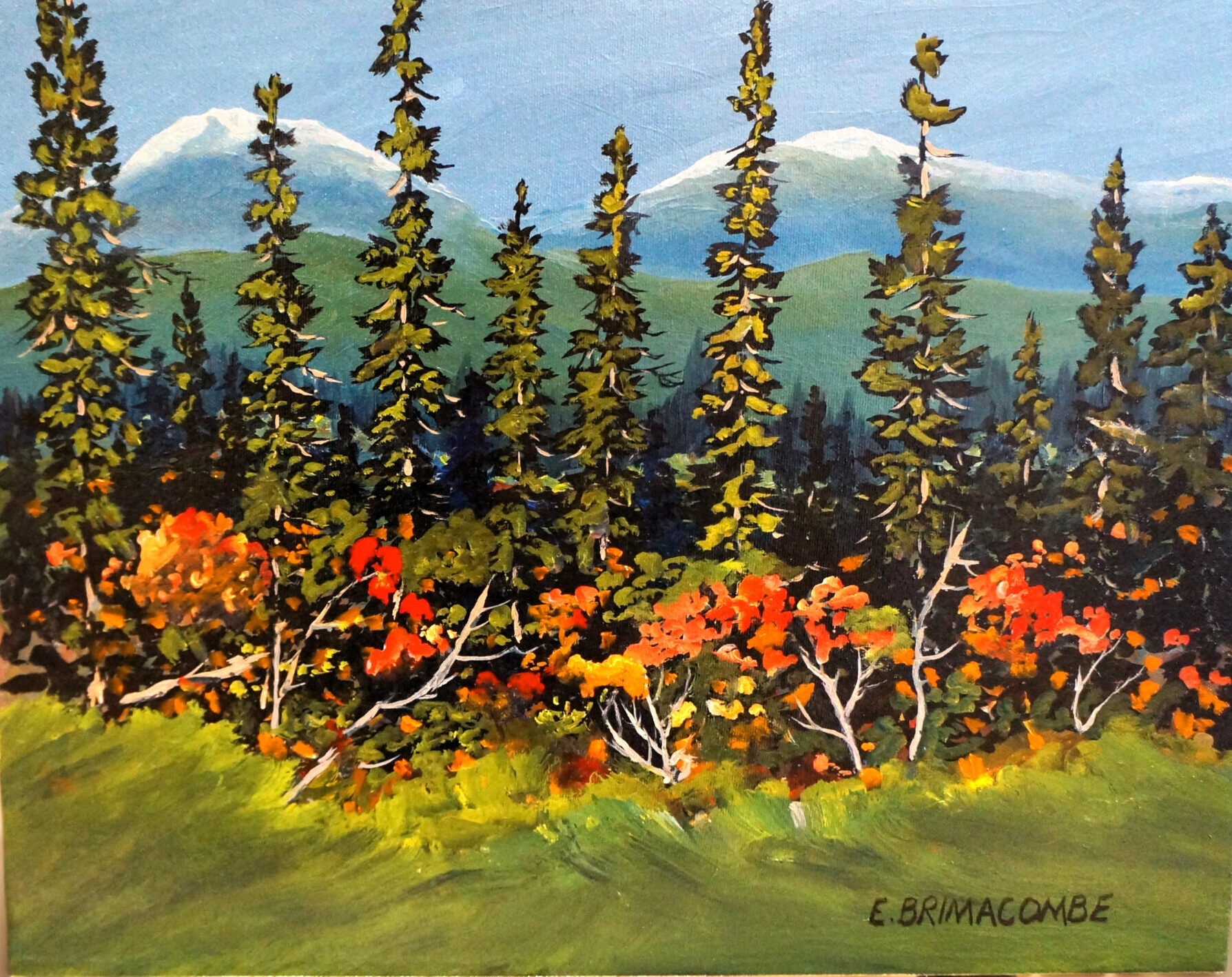 Highland Patterns - Canwest Art